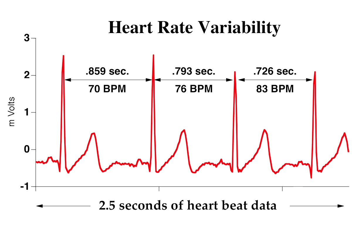 Personality and Heart Rate Variability | HeartMath Institute