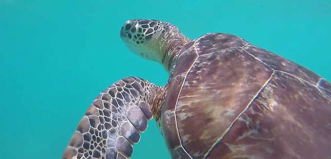 What is Social Coherence? | HeartMath Institute