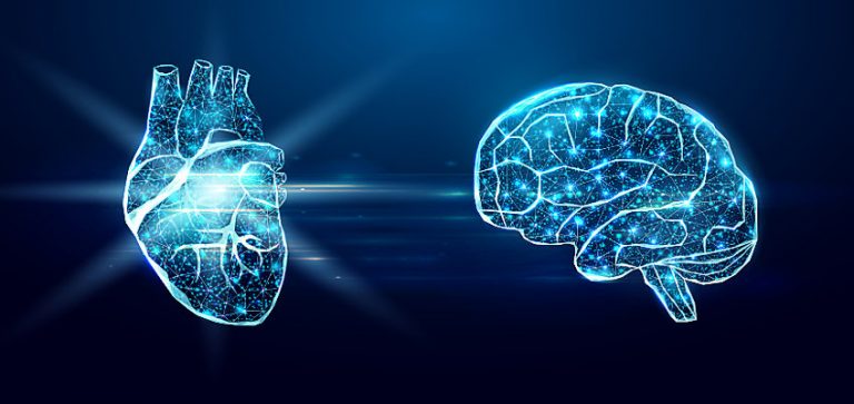 Exploring the Little Brain in the Heart: A Journey Into Heart-Brain Communication | HeartMath ...